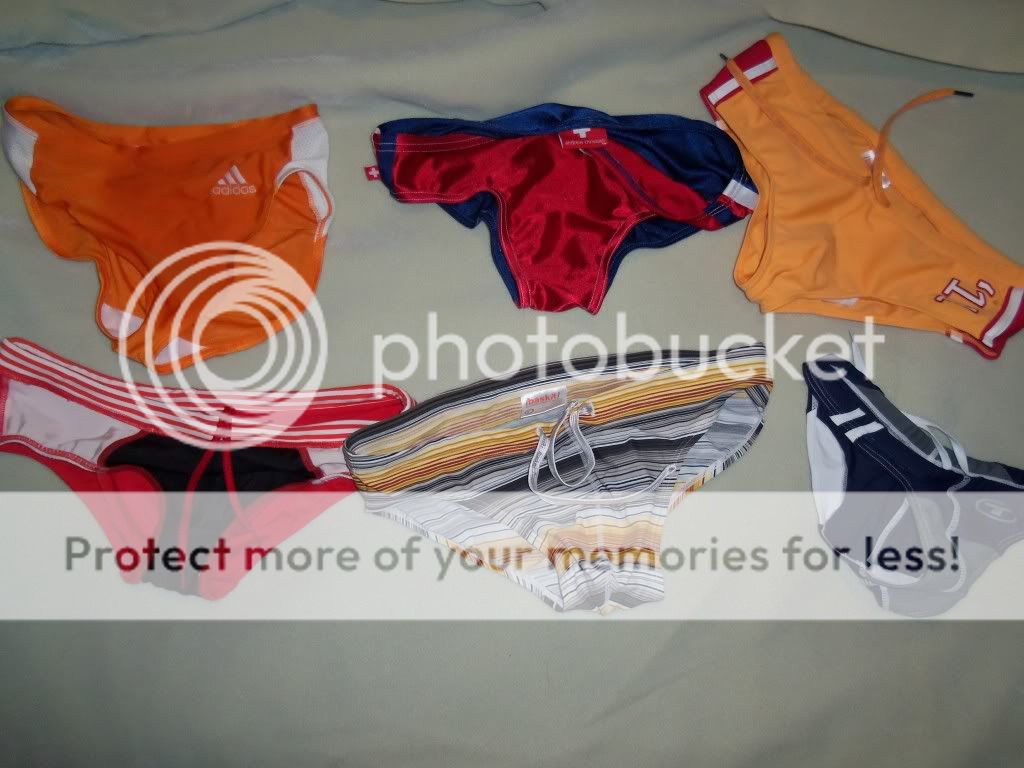 My HUGE speedo collection - SpeedoForum.org